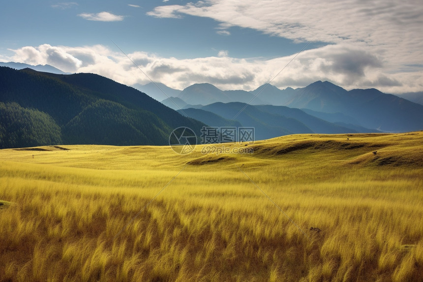 白天自然的湿地高清图片下载-正版图片600414537-摄图网