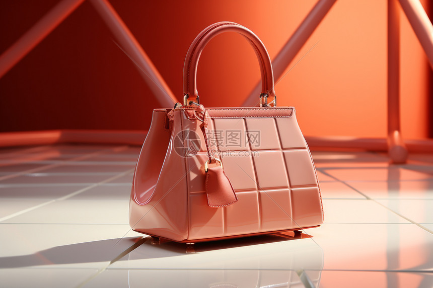 时尚精致的手提包高清图片下载-正版图片600475013-摄图网