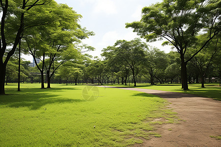 绿色的公园草地高清图片下载-正版图片600494211-摄图网