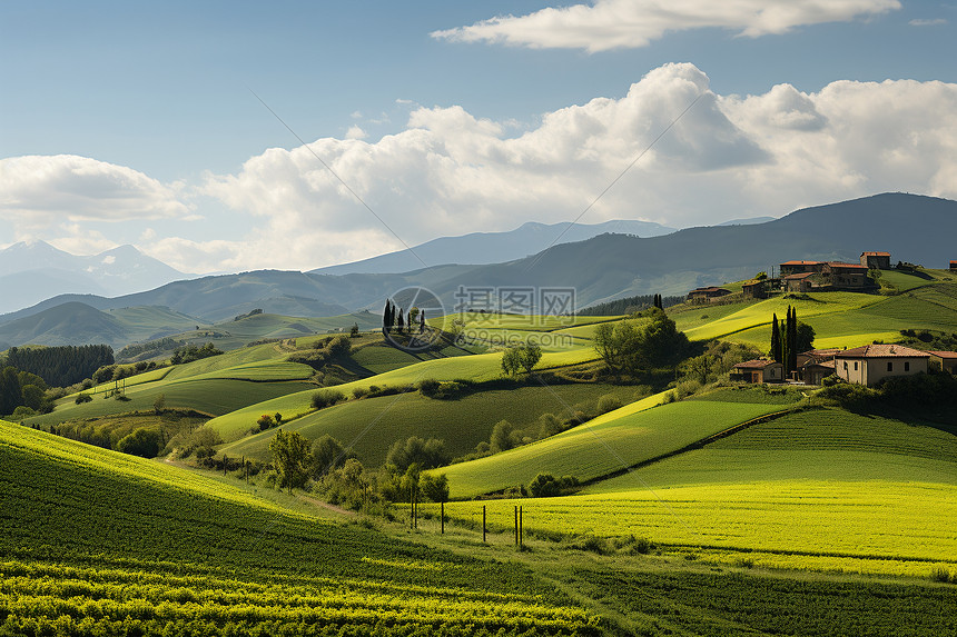阳光灿烂的田野高清图片下载-正版图片600519128-摄图网