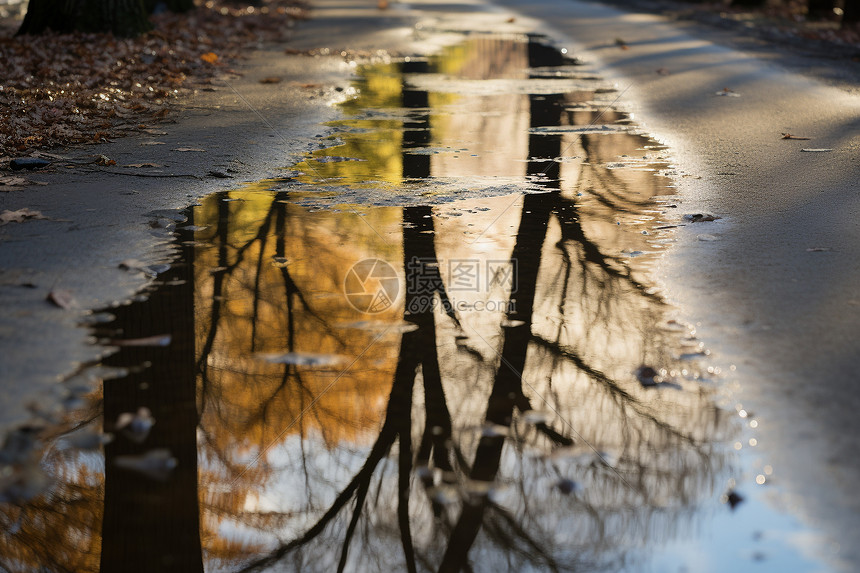 秋天积水的街道高清图片下载-正版图片600522506-摄图网