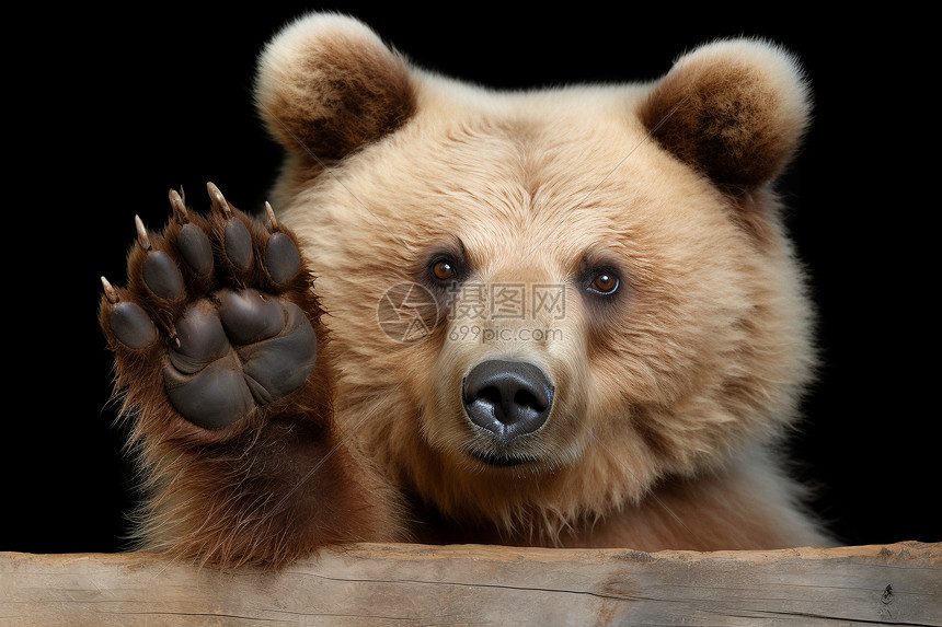 挥手的可爱熊爪高清图片下载-正版图片600537765-摄图网