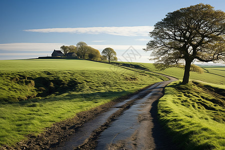 丹麦田园风光高清图片下载-正版图片600686267-摄图网