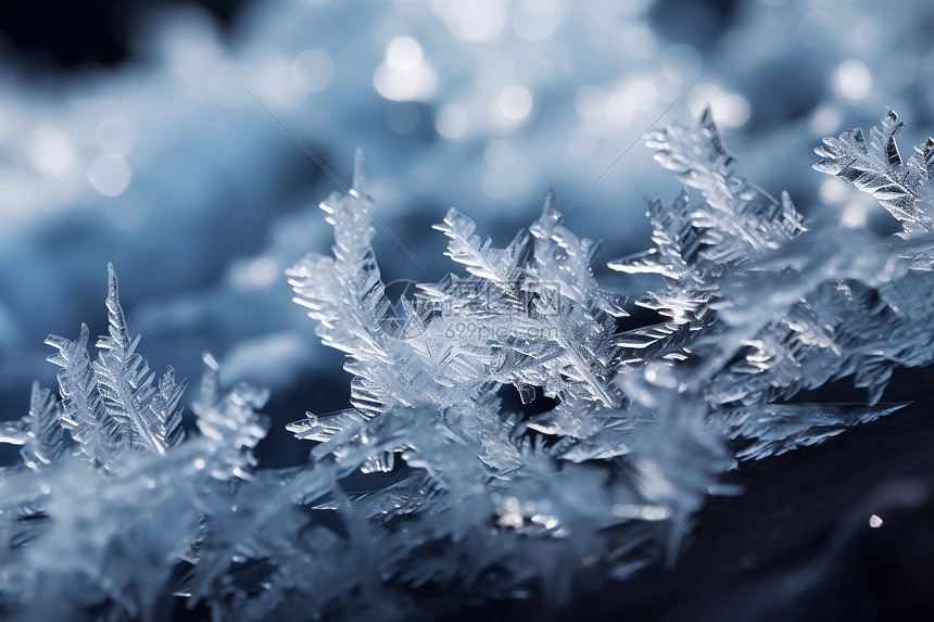 冰雪世界中的晶体高清图片下载-正版图片600687567-摄图网