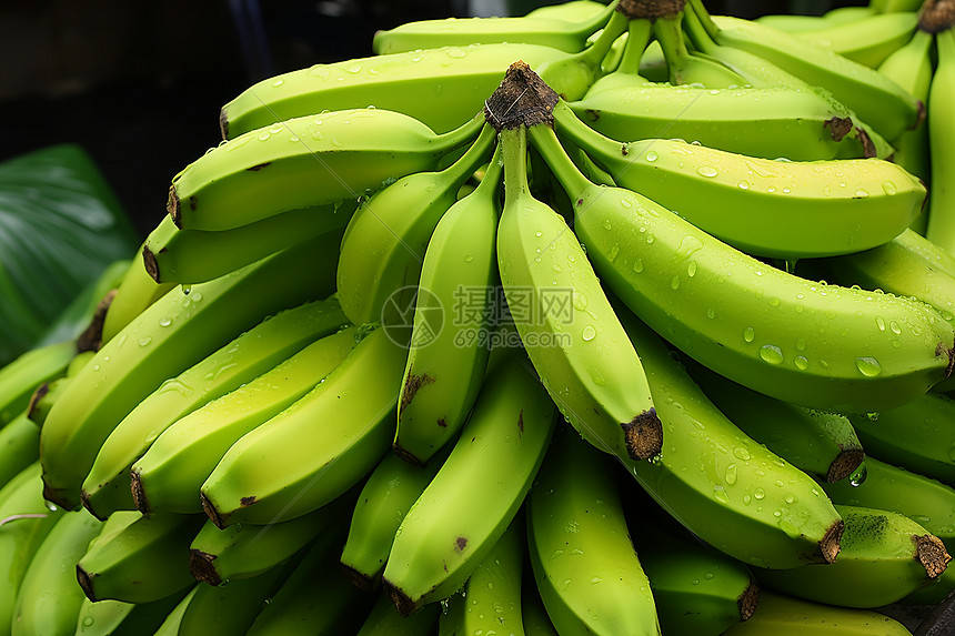 青绿色的香蕉高清图片下载-正版图片600801451-摄图网