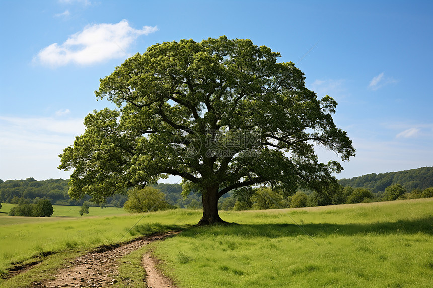 大树下的世外桃源高清图片下载-正版图片600810997-摄图网