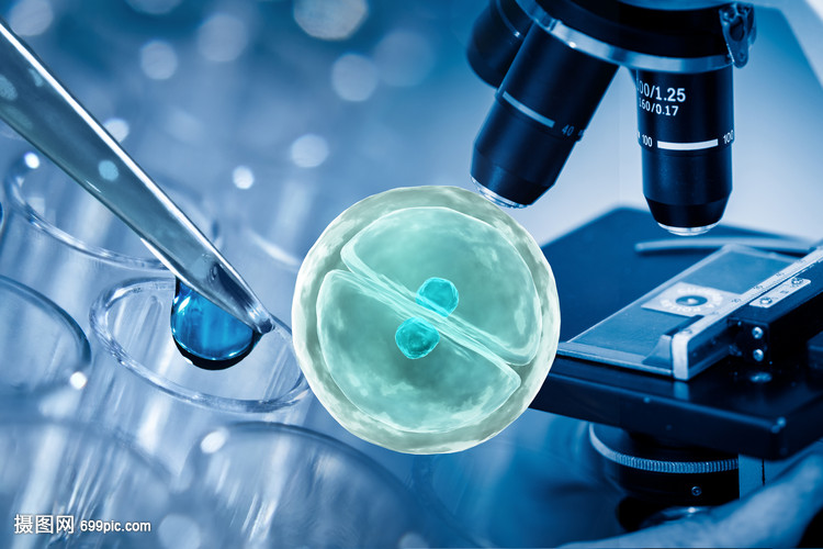 显微镜下的生物【相关词_显微镜下的生物细胞】 - 随意优惠券