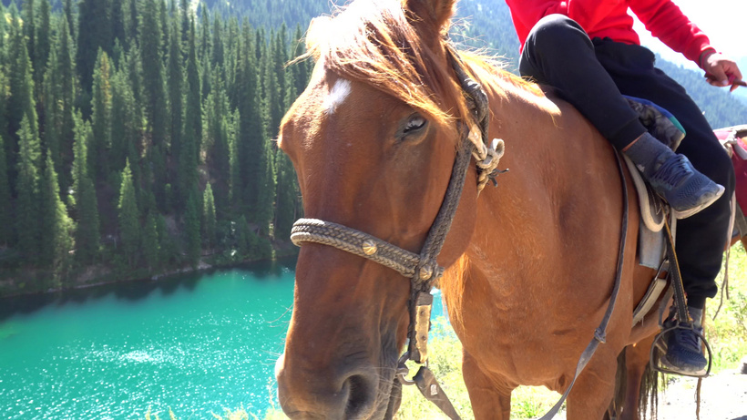 在山湖背景的马匹上mp4格式视频下载_正版视频编号3926170-摄图网