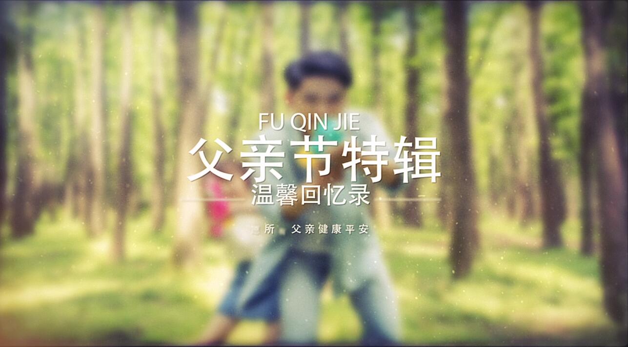 父爱如山AECC2015模板视频模板-编辑模板编号113692-摄图云编辑