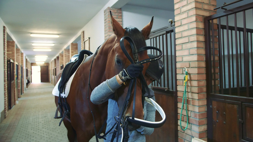 年轻女人给马带上了马具mov格式视频下载_正版视频编号3793685-摄图网