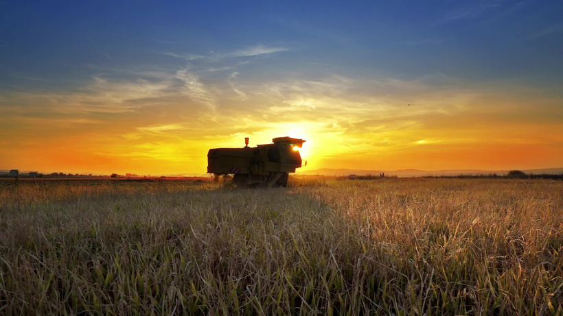 太阳落下时农民在稻田收割mp4格式视频下载_正版视频编号3824287-摄图网