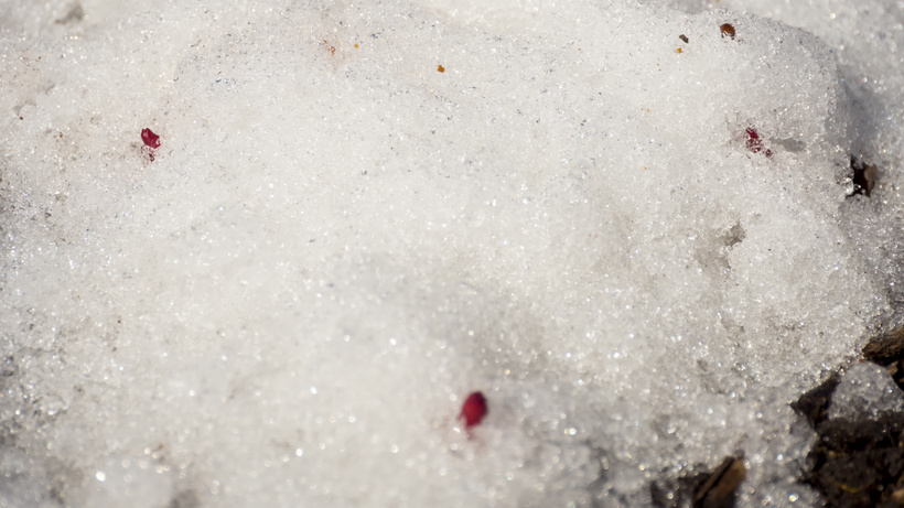 冰雪消融的春季时间mov格式视频下载_正版视频编号3801102-摄图网