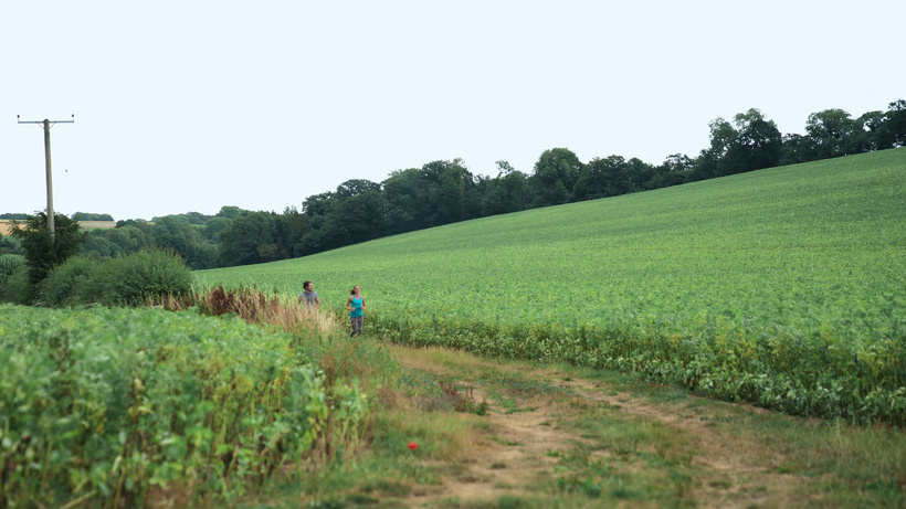 男人和女人慢跑mov格式视频下载_正版视频编号3636005-摄图网