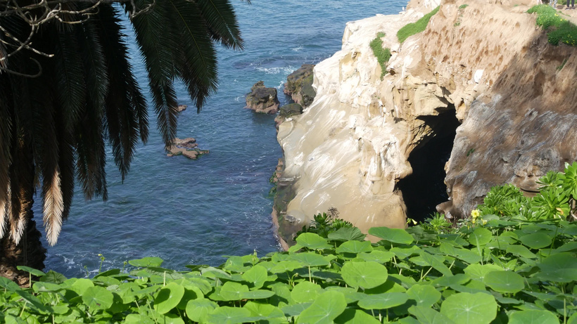 从拉霍亚湾的海洞上方茂盛的树叶和砂岩洞穴太平洋泻湖mp4格式视频下载_正版视频编号3822922-摄图网