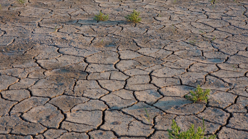 盐角草干咸河口湖底裂土上的耐盐植物图兹洛夫斯基河口mp4格式视频下载_正版视频编号3862099-摄图网