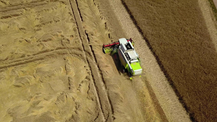 收获时间mov格式视频下载_正版视频编号3648606-摄图网