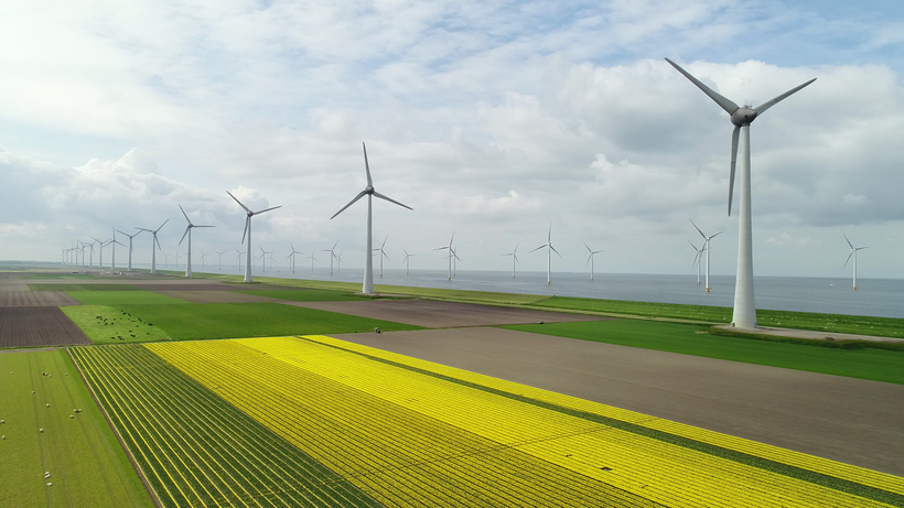 郁金香田和风力涡轮机mov格式视频下载_正版视频编号3627782-摄图网