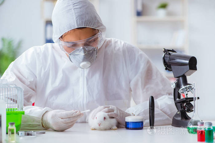 科学家做动物实验用兔实验室里照片-正版商用图片023436-摄图新视界