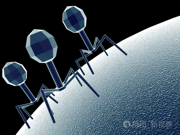 噬菌体照片-正版商用图片030mpv-摄图新视界