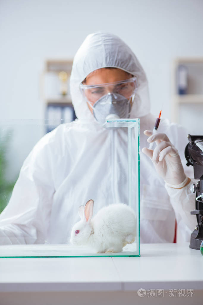 科学家做动物实验用兔实验室里照片-正版商用图片034rqb-摄图新视界