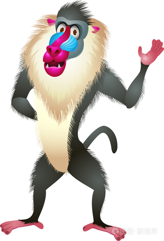 狒狒卡通插画-正版商用图片04hy0g-摄图新视界