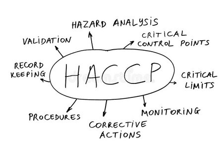 haccp图片-haccp素材-haccp插画-摄图新视界