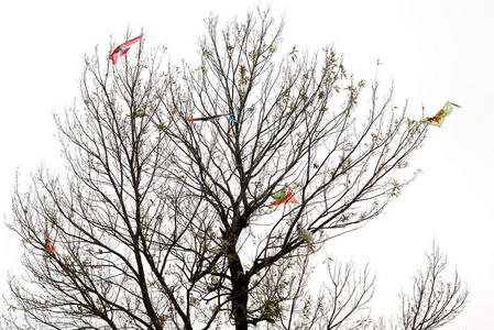 astrict图片-astrict素材-astrict插画-摄图新视界