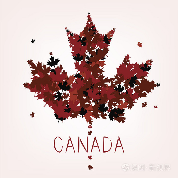 加拿大枫叶插画-正版商用图片0onjc7-摄图新视界
