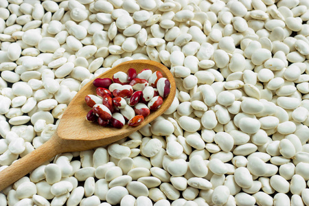 phaseolamin图片-phaseolamin素材-phaseolamin插画-摄图新视界