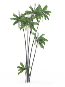 anibung图片-anibung素材-anibung插画-摄图新视界