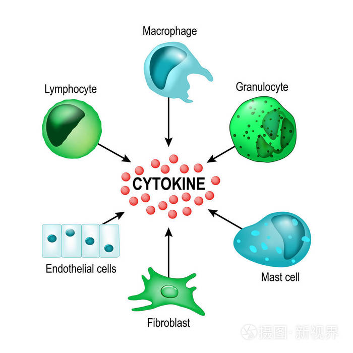 细胞因子。矢量的概念插画-正版商用图片0yxji5-摄图新视界