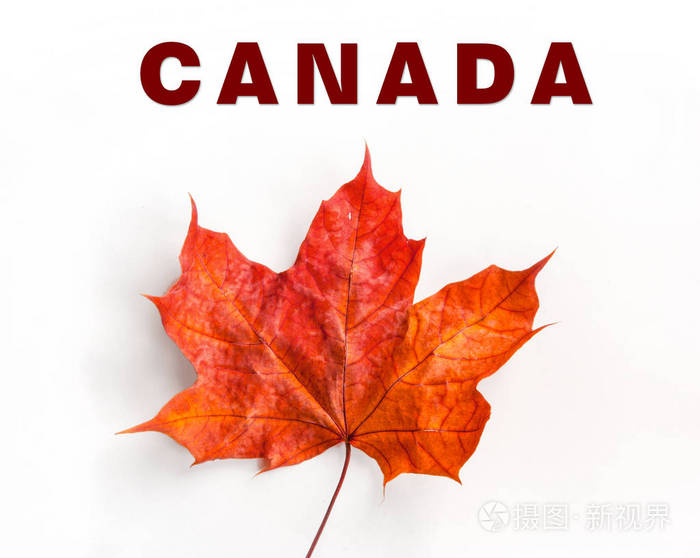 加拿大标志枫叶爱加拿大照片-正版商用图片11eocb-摄图新视界