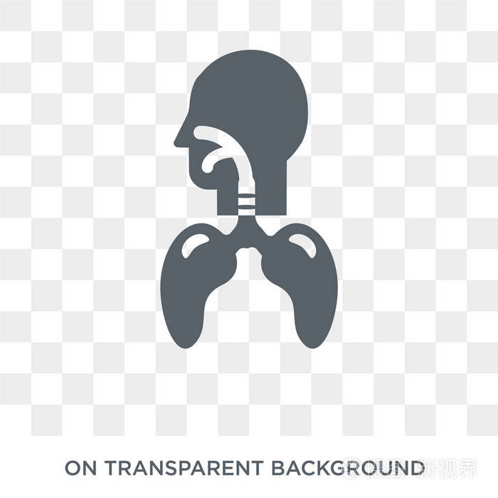 呼吸系统图标。时尚的平面矢量呼吸系统图标透明背景从人体部件收集。高品质的填充呼吸系统符号用于网络和移动插画-正版商用图片17bpi0-摄图新视界