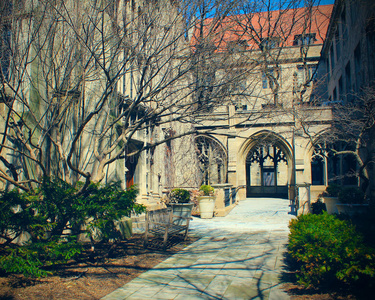 校园风景图片-校园风景素材-校园风景插画-摄图新视界