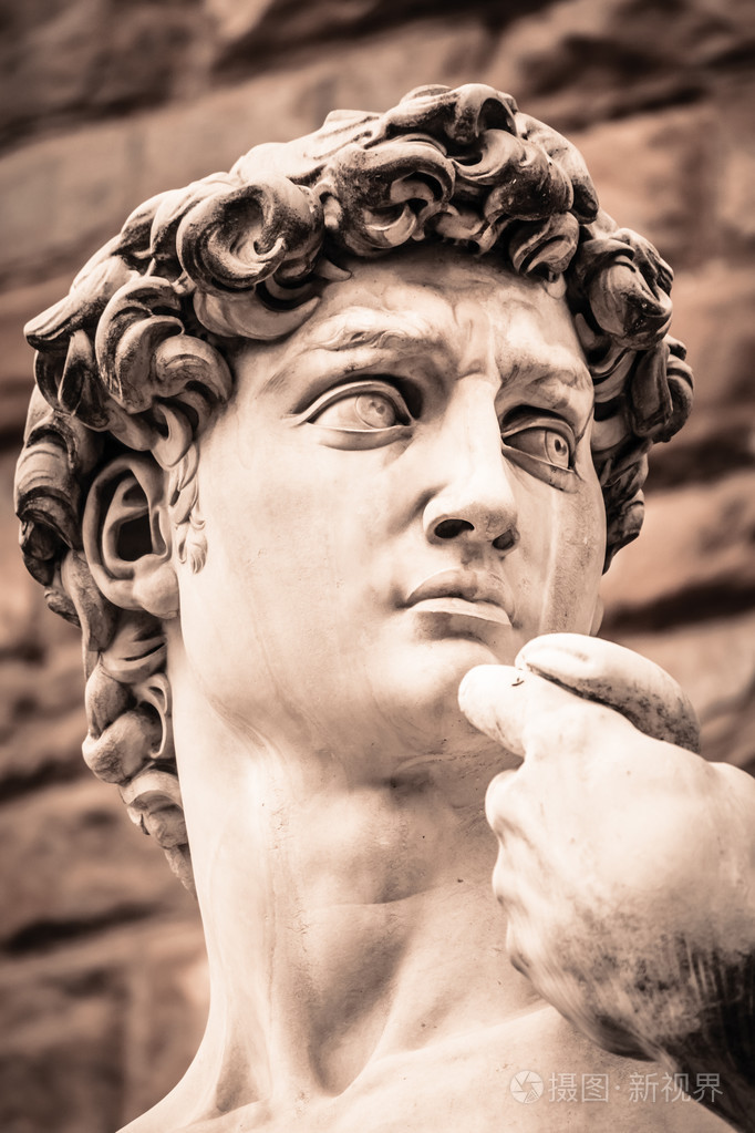 米开朗基罗的大卫肖像照片-正版商用图片1pycvn-摄图新视界