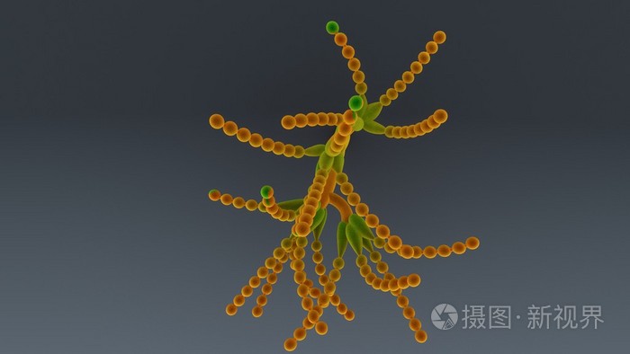 分生孢子 厚垣孢子真菌照片-正版商用图片1q7zuy-摄图新视界