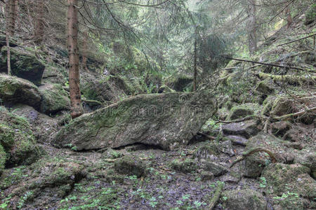 braky图片-braky素材-braky插画-摄图新视界