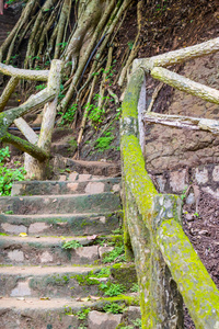 trpics图片-trpics素材-trpics插画-摄图新视界